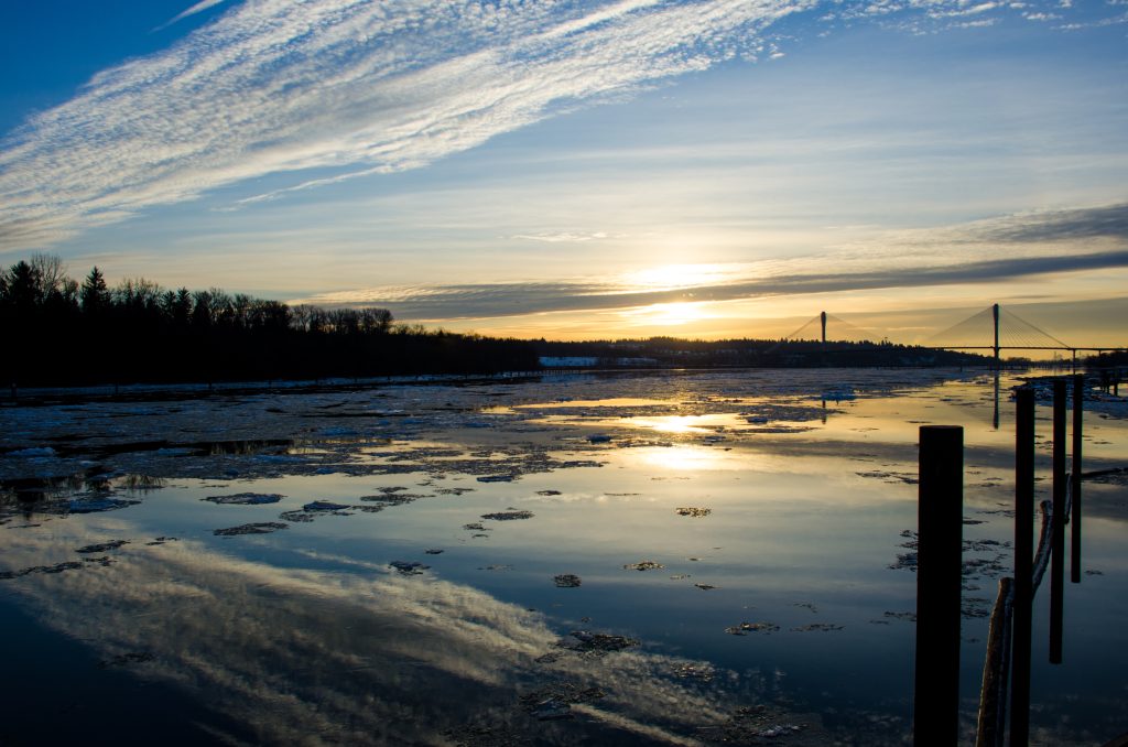 Laura Thomas Photography